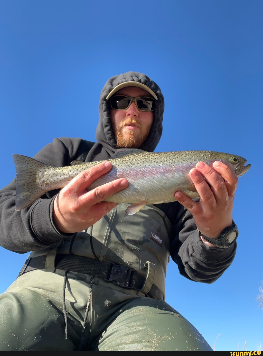 Trout memes. Best Collection of funny Trout pictures on iFunny