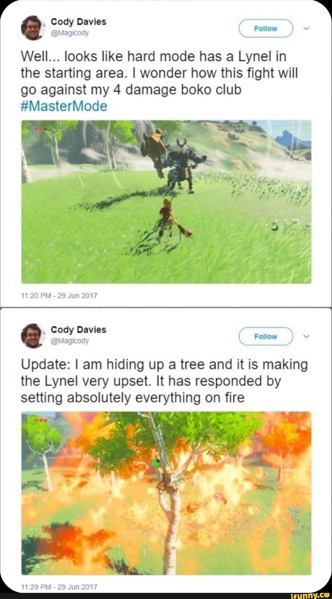Lynel memes. Best Collection of funny Lynel pictures on iFunny