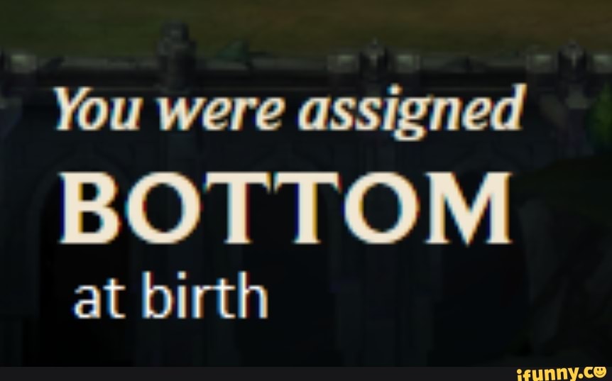 You were assigned BOTTOM at birth - iFunny