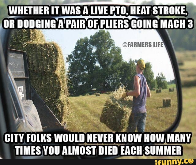 Pto memes. Best Collection of funny Pto pictures on iFunny