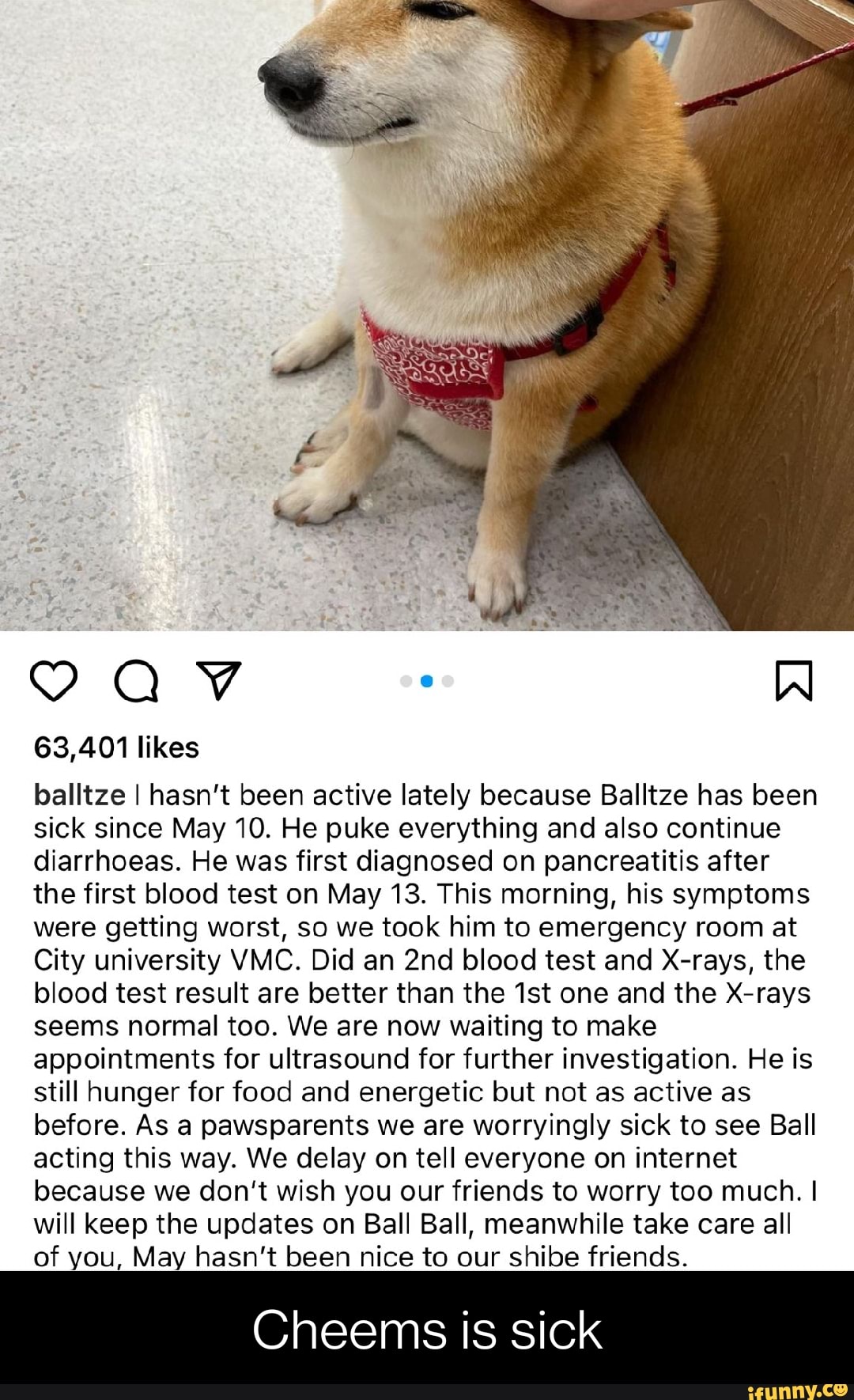 AV 63,401 likes Al balltze I hasn't been active lately because Balltze ...