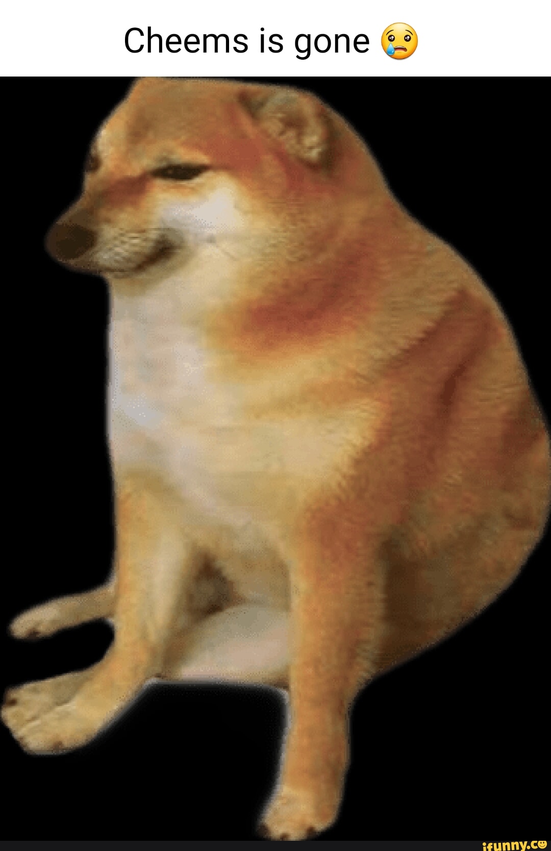 Cheems is gone - iFunny