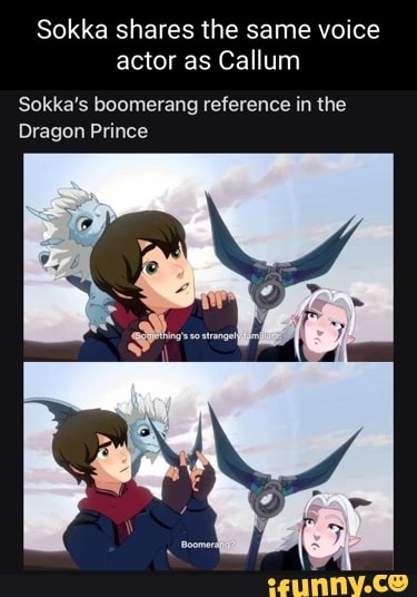 Sokka shares the same voice actor as Callum Sokka's boomerang reference ...