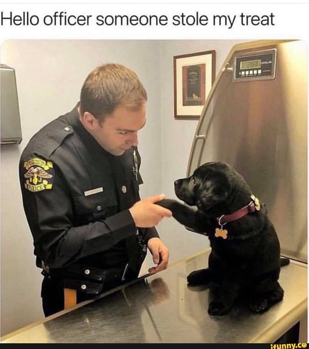 Hello officer someone stole my treat - iFunny