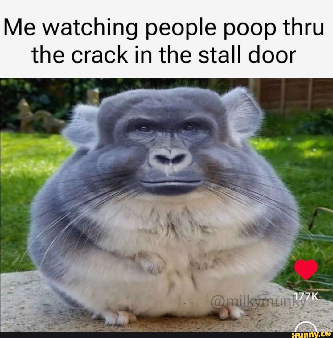 Me watching people poop thru the crack in the stall door - iFunny