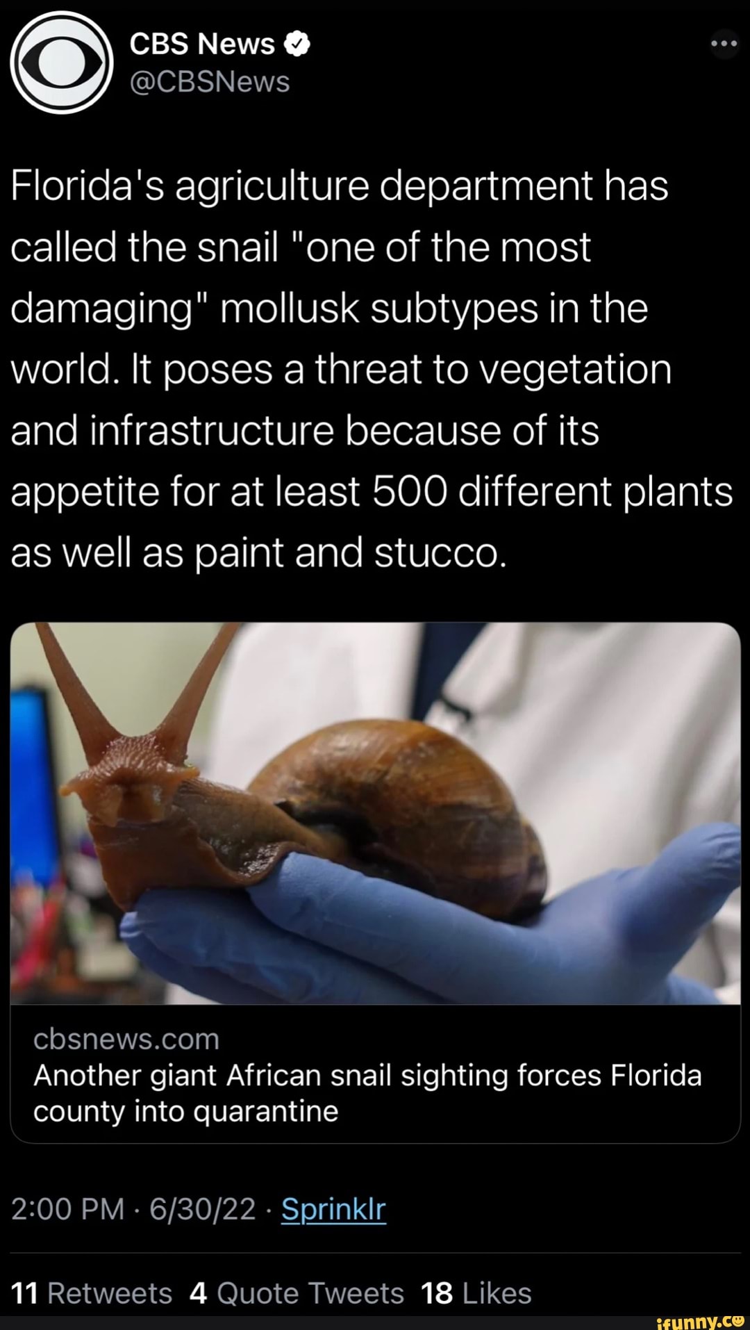 Stucco memes. Best Collection of funny Stucco pictures on iFunny