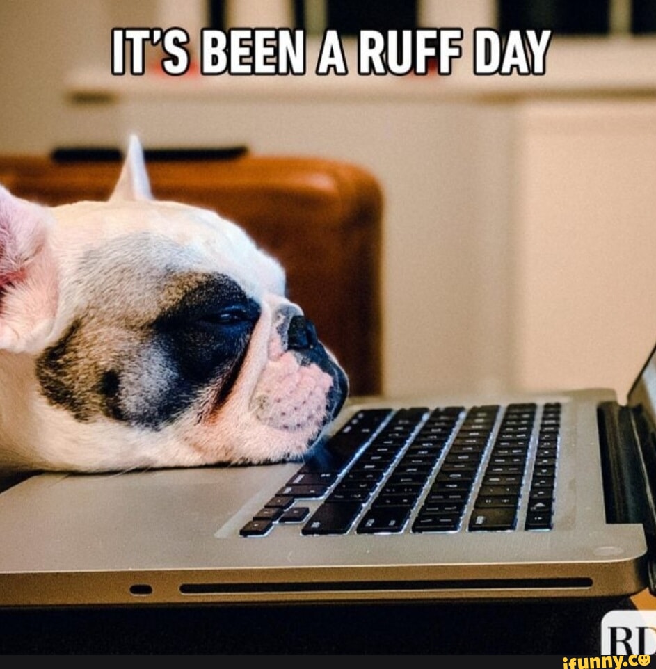IT'S BEEN A RUFF DAY - iFunny