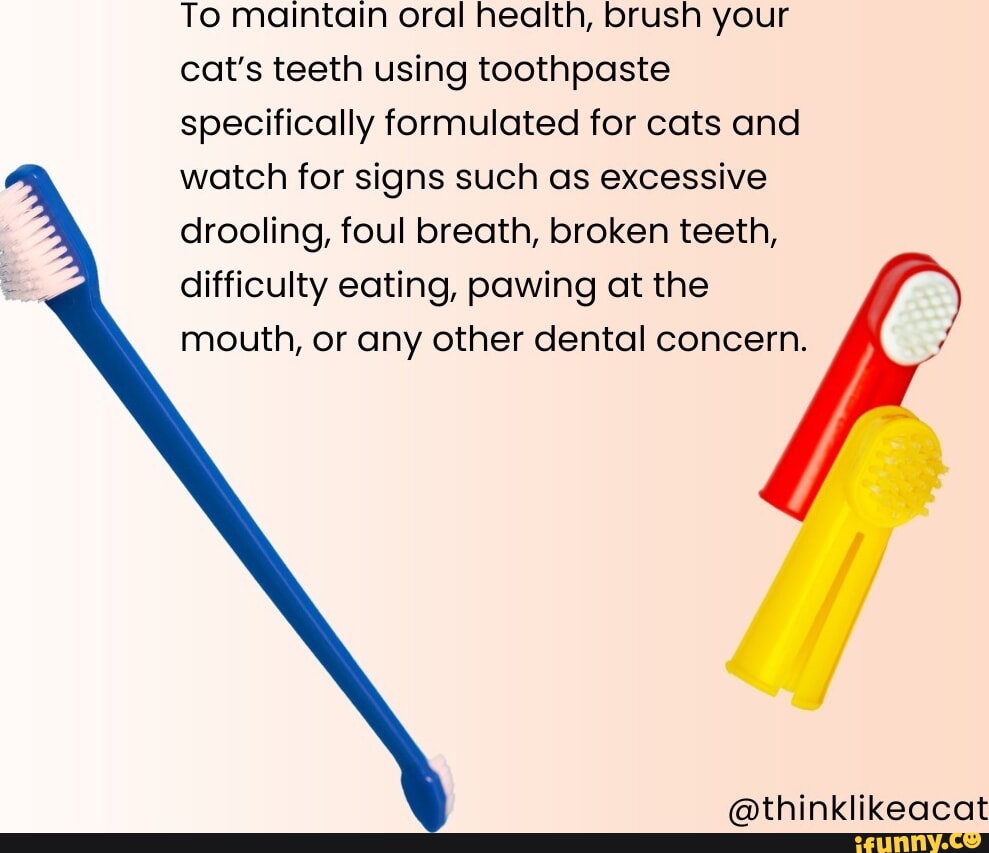 Drooling memes. Best Collection of funny Drooling pictures on iFunny