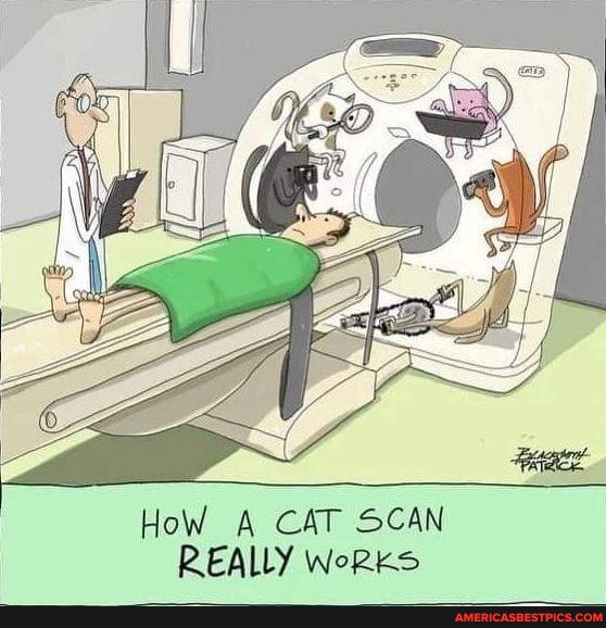 N/A - HoW A CAT SCAN REALLY WoRKS - America’s best pics and videos