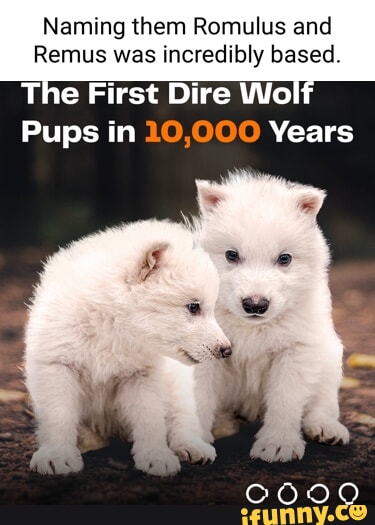 Naming them Romulus and Remus was incredibly based. The First Dire Wolf ...