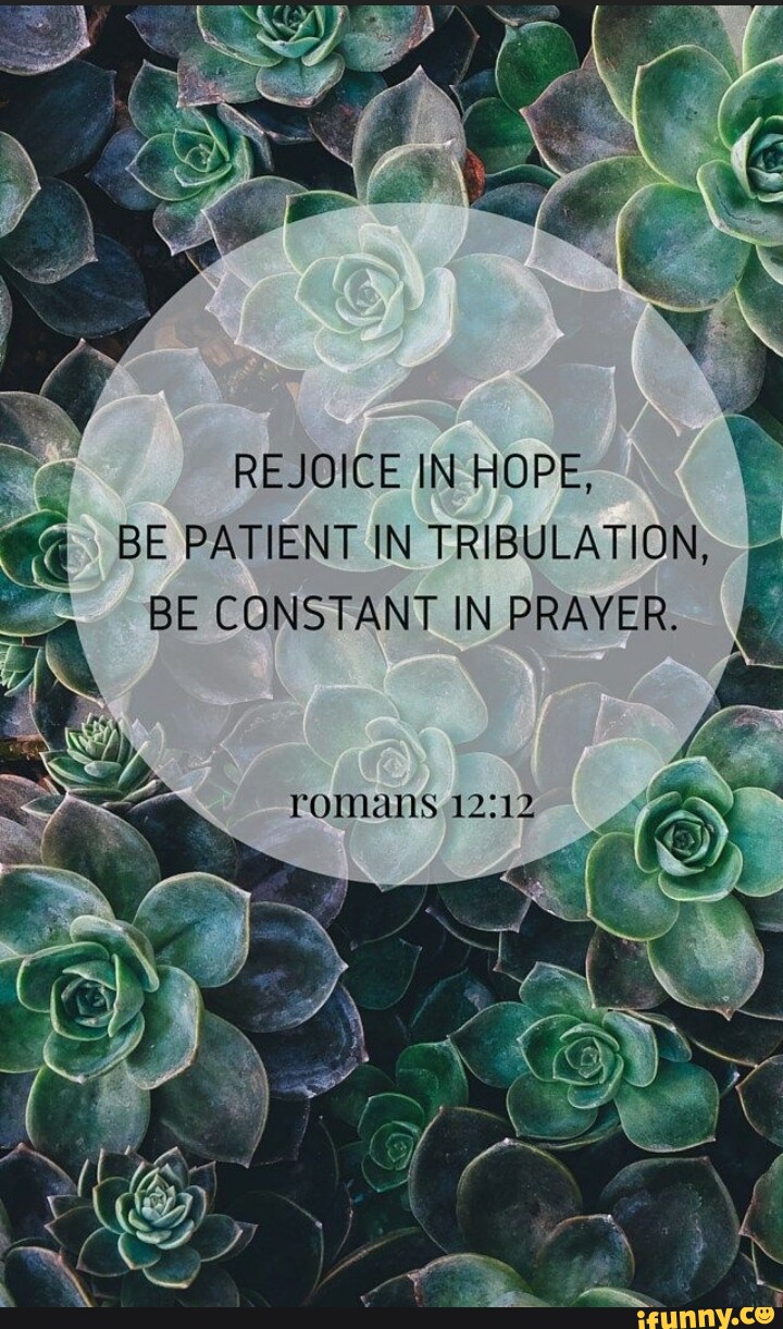 REJOICE IN HOPE, BE PATIENT IN TRIBULATION, BE CONSTANT IN PRAYER ...