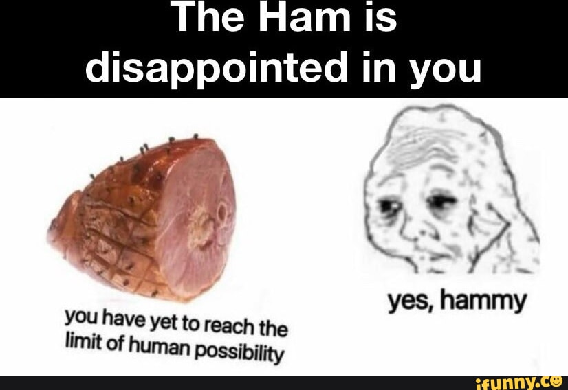 The Ham ts disappointed in you yes, hammy you have yet to reach the ...