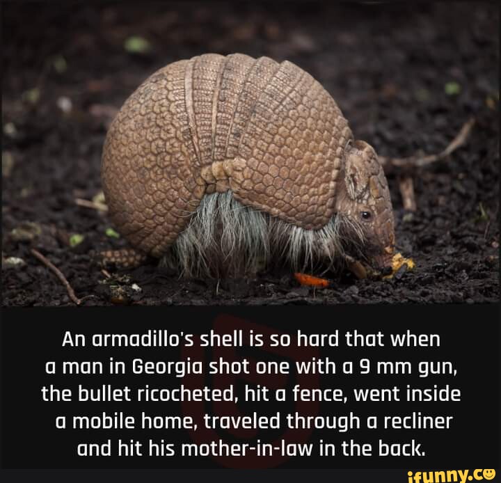 Dis da fukin crakalns taugnt. made. with mematic - iFunny