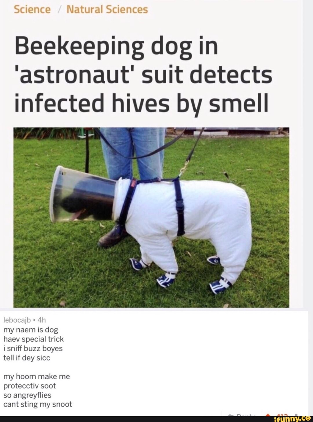 Beekeeping dog in 'astronaut' suit detects infected hives bv smell - iFunny