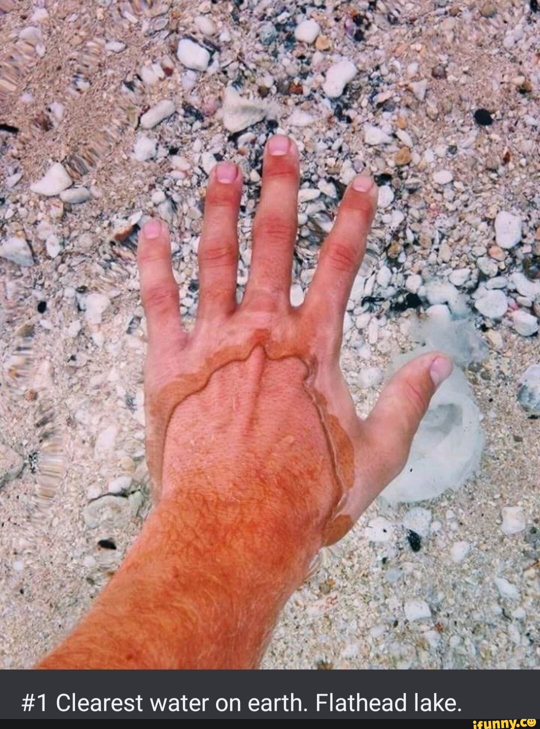 #1 Clearest water on earth. Flathead lake. - iFunny