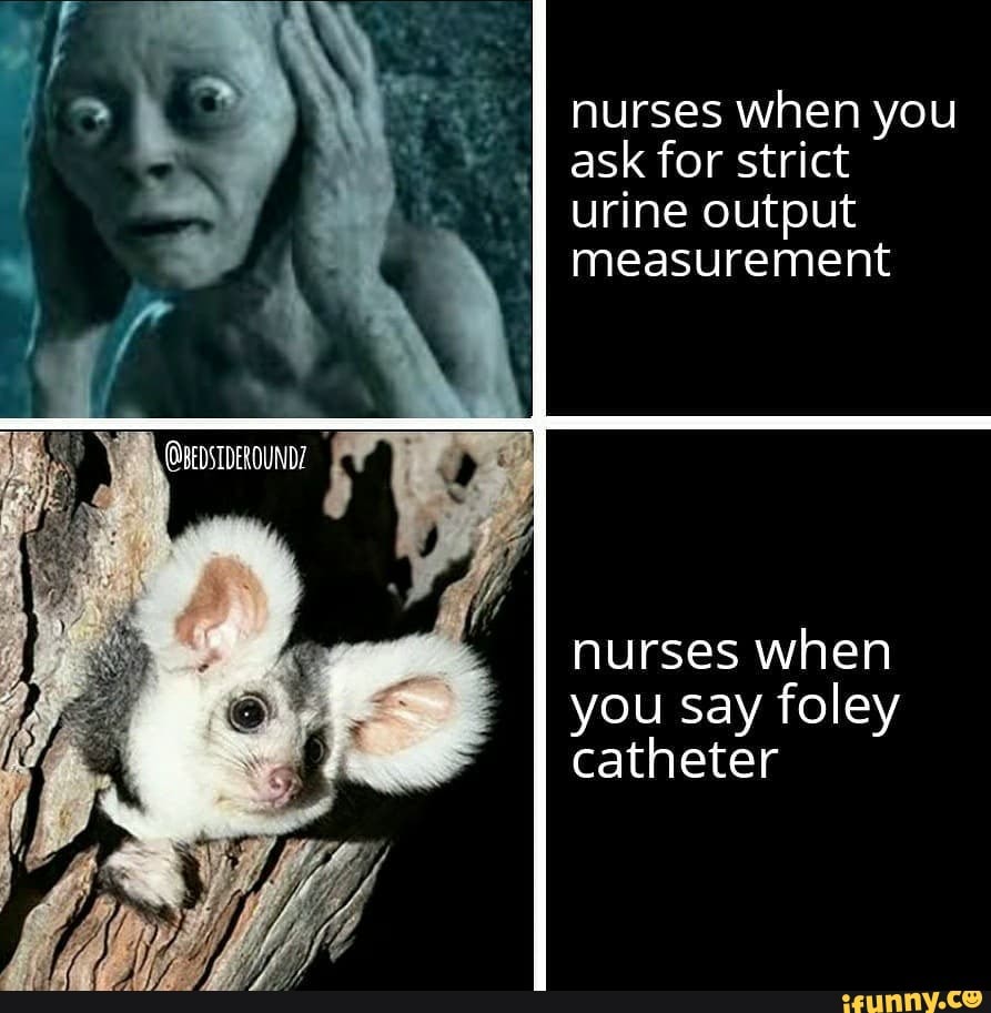 Nurses when you ask for strict urine output measurement nurses when you ...