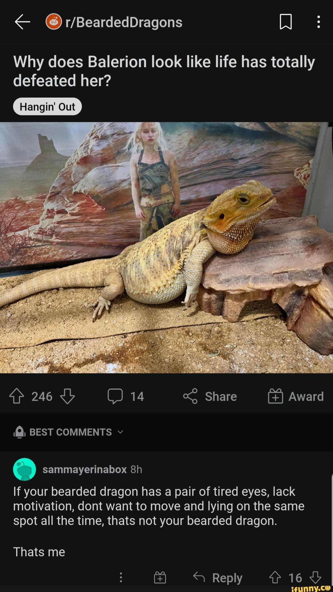 Why does Balerion look like life has totally defeated her? Hangin' Out 246