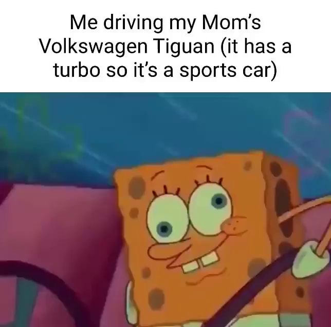 Funny Amarok Memes