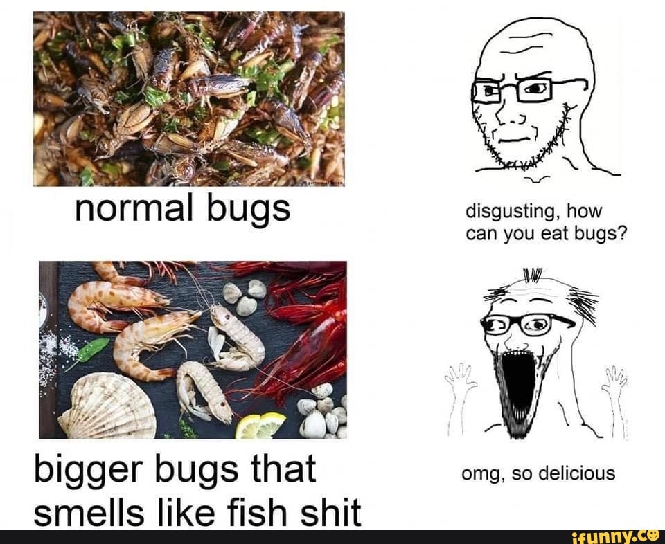 Normal bugs disgusting, how can you eat bugs? bigger bugs that omg, so ...