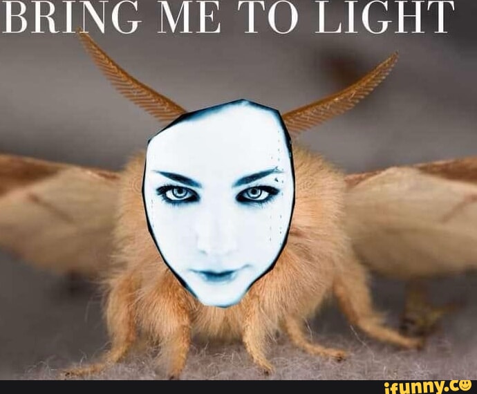 Mothra memes. Best Collection of funny Mothra pictures on iFunny