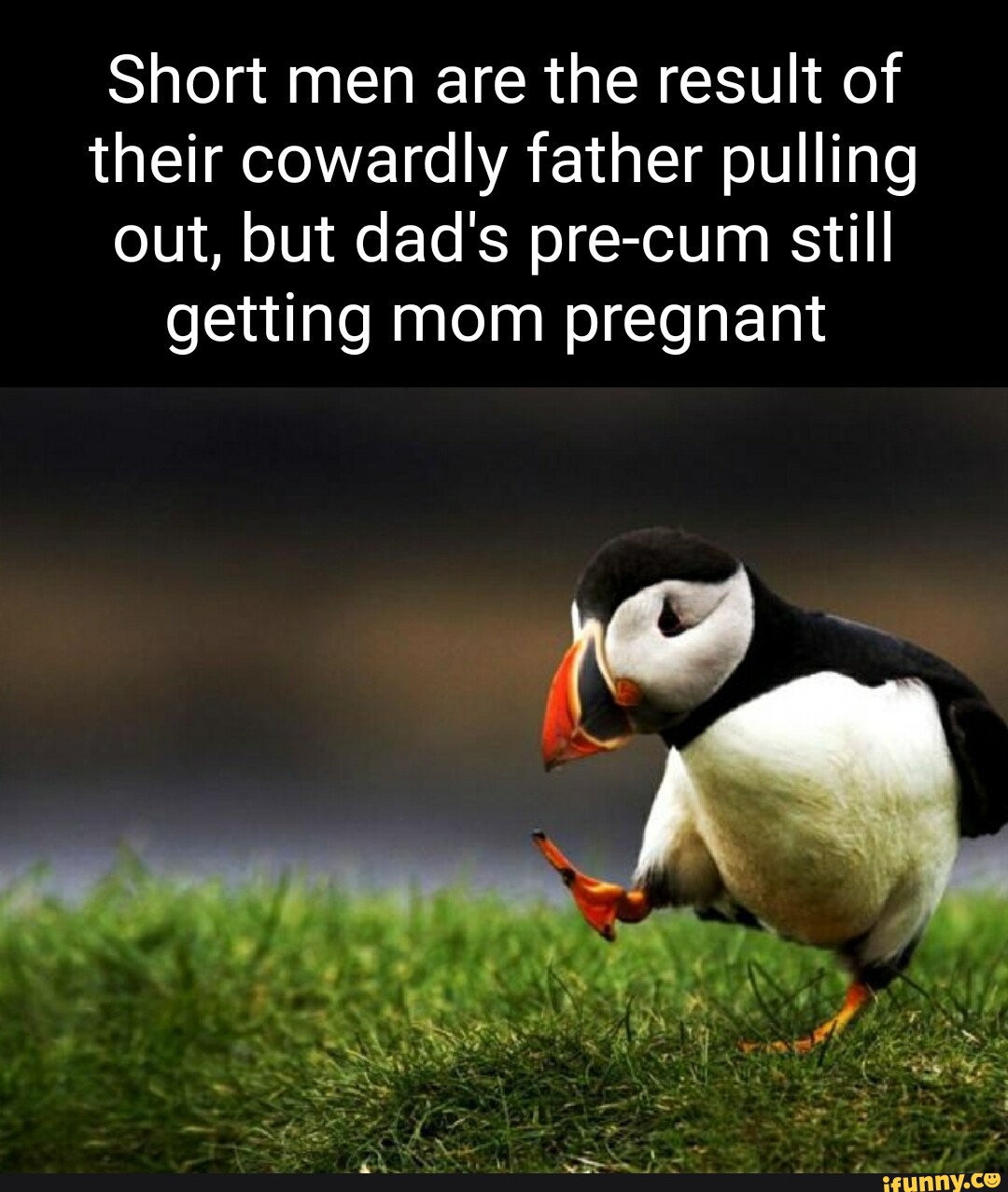 Pulling memes. Best Collection of funny Pulling pictures on iFunny