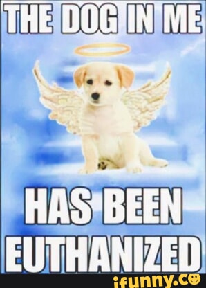 THE DOG iN ME HRS BEEN EUTHANIZED - iFunny
