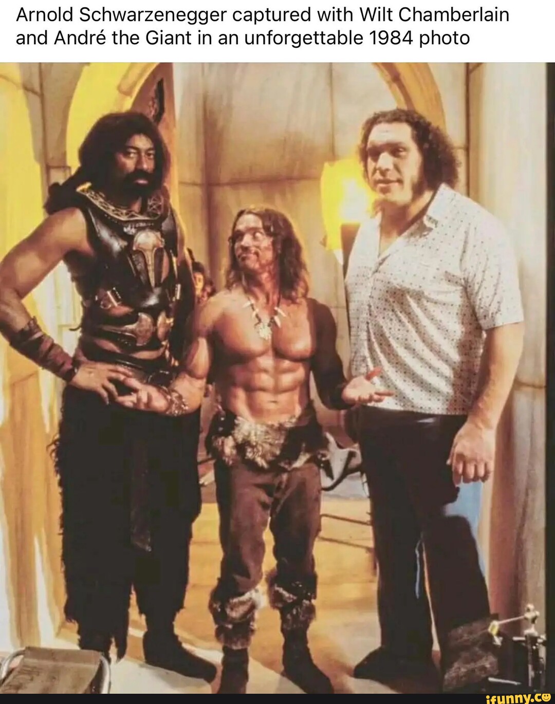 Arnold Schwarzenegger captured with Wilt Chamberlain and Andr the Giant ...