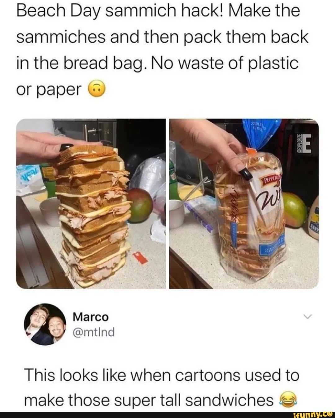 Sammiches memes. Best Collection of funny Sammiches pictures on iFunny