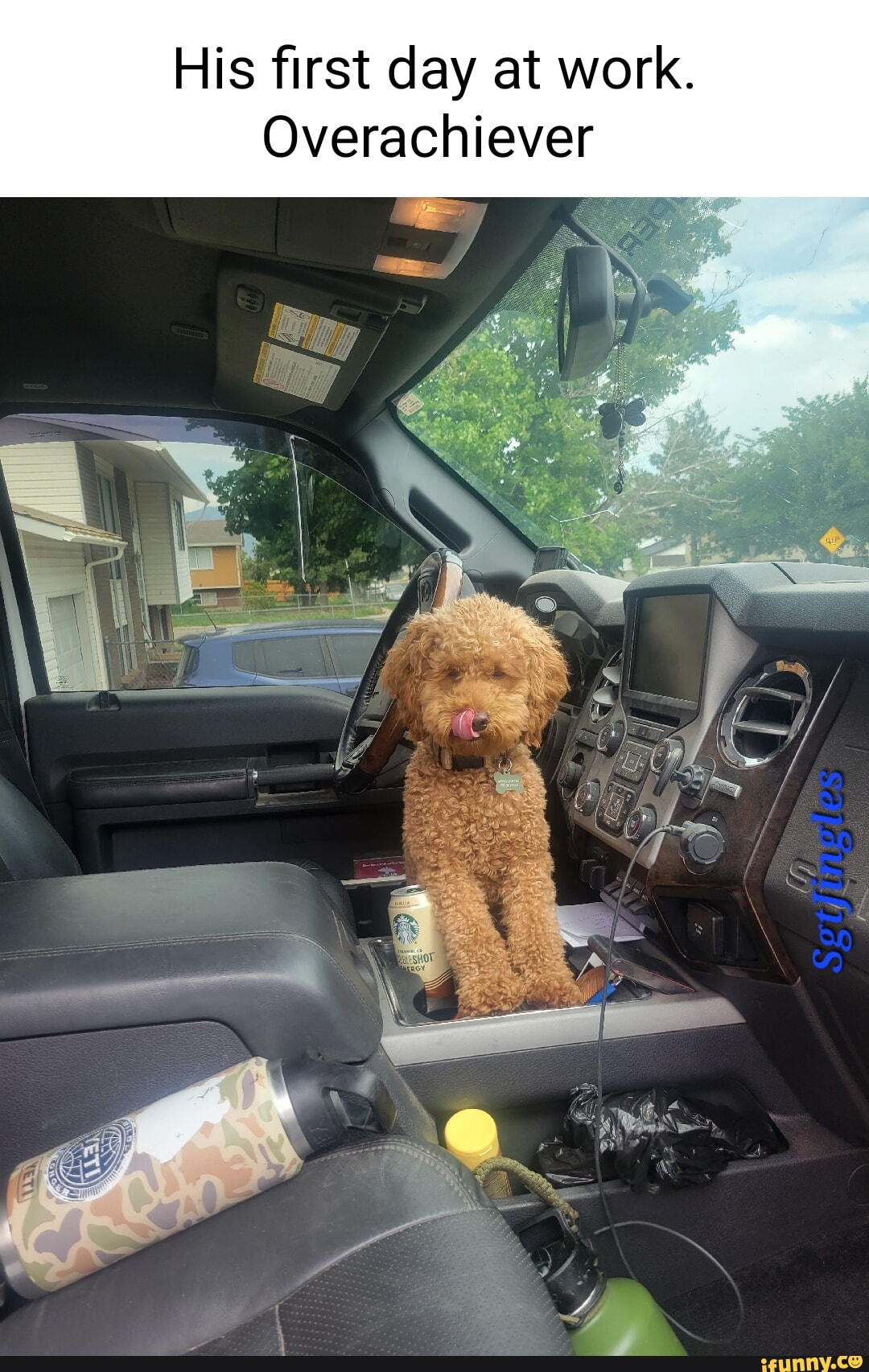 Overachiever memes. Best Collection of funny Overachiever pictures on ...