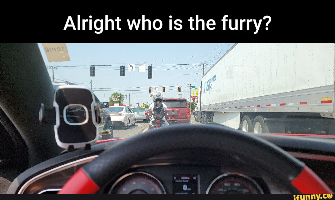 Alright who is the furry? - iFunny