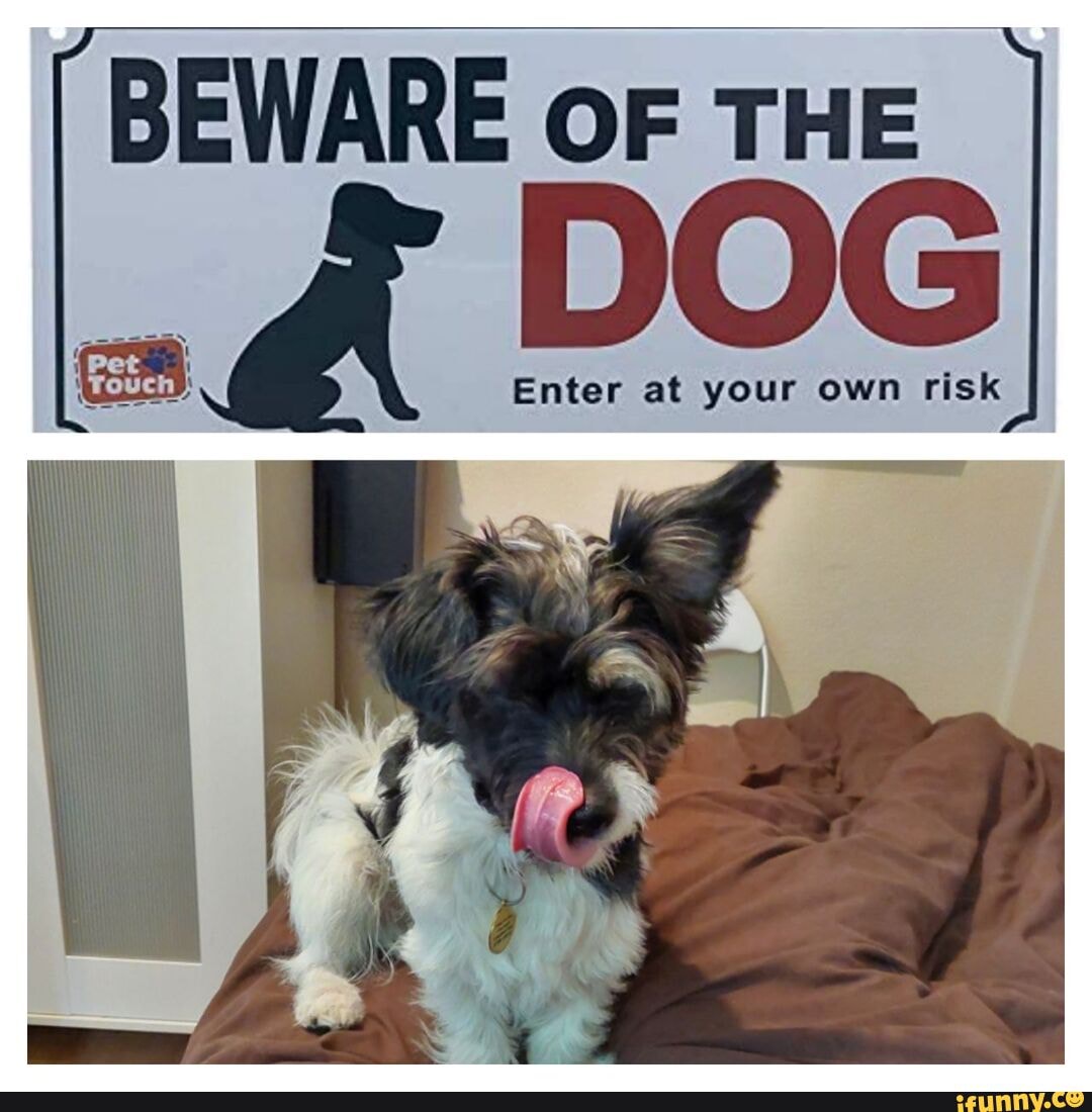BEWARE OF THE DOG Enter at your own risk - iFunny