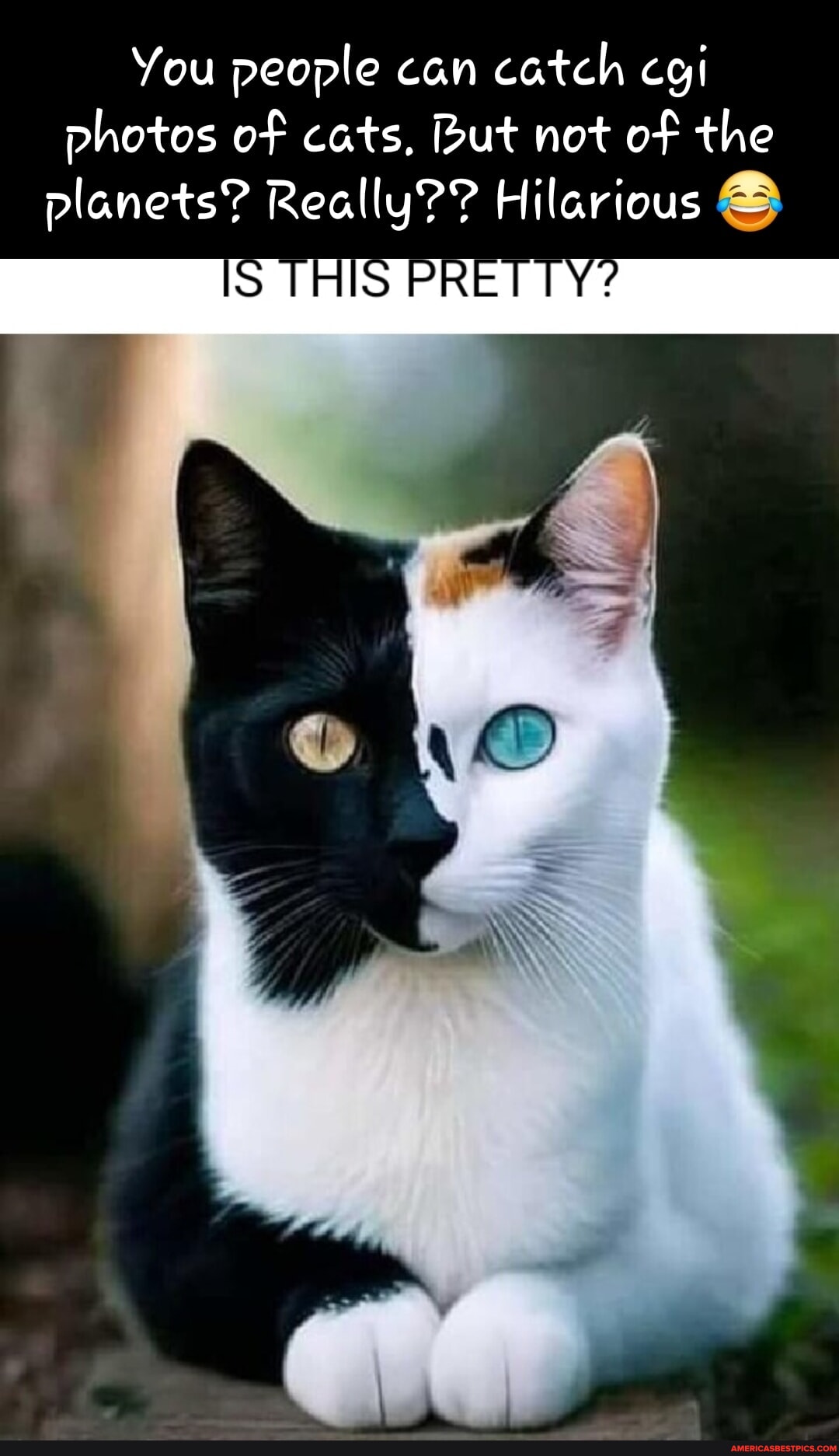You people can catch cgi photos of cats, But not of the planets? Really ...