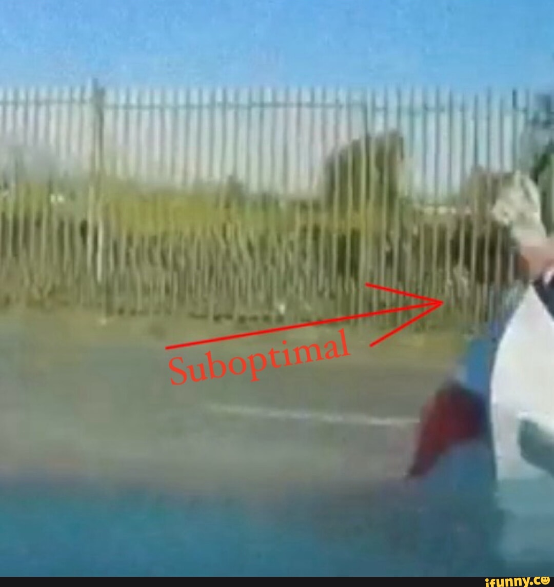 Suboptimal memes. Best Collection of funny Suboptimal pictures on iFunny