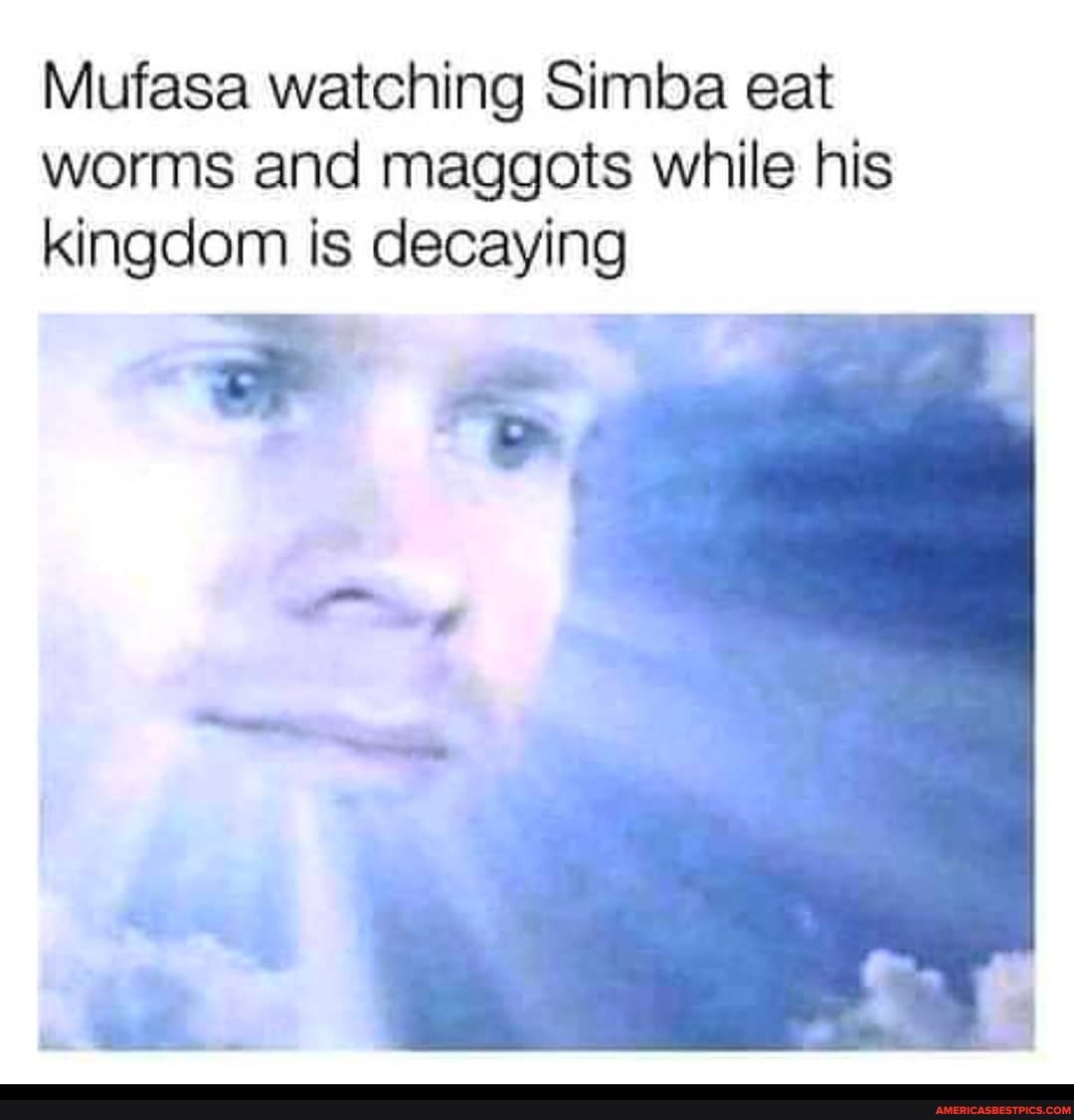 Mufasa watching Simba eat worms and maggots while his kingdom is ...