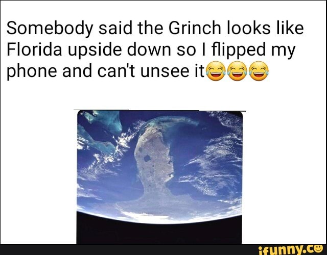 Somebody said the Grinch looks like Florida upside down so I flipped my ...
