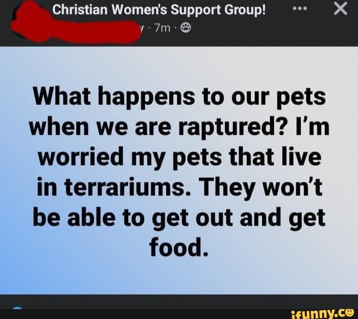 Terrariums memes. Best Collection of funny Terrariums pictures on iFunny