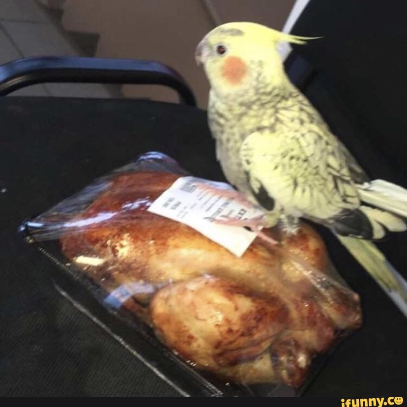 Cursed_bird memes. Best Collection of funny Cursed_bird pictures on iFunny