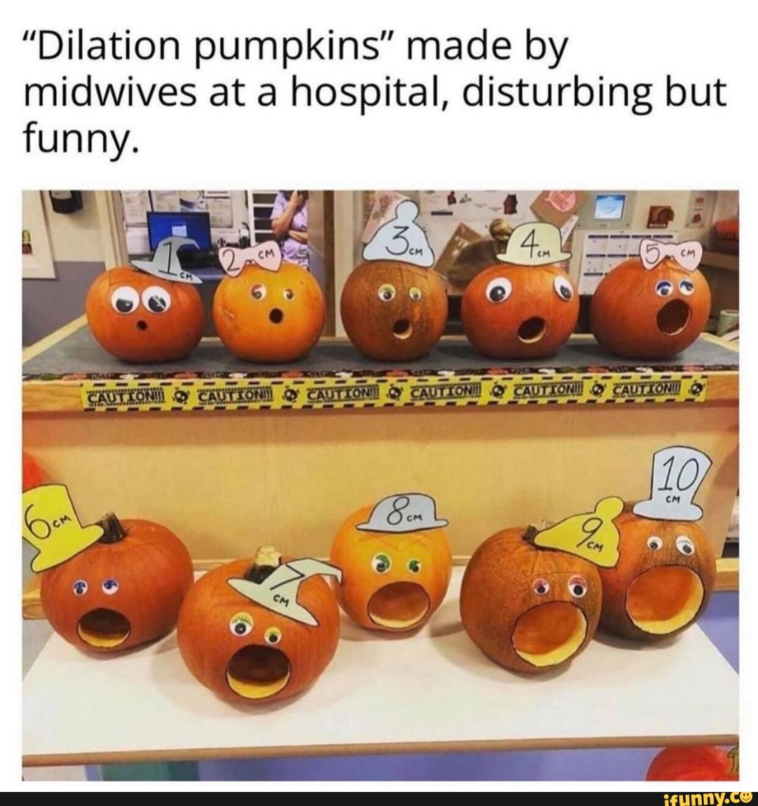 "Dilation pumpkins" made by midwives at a hospital, disturbing but ...