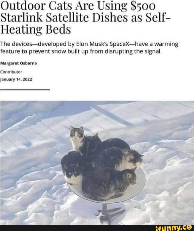 Spacex memes. Best Collection of funny Spacex pictures on iFunny