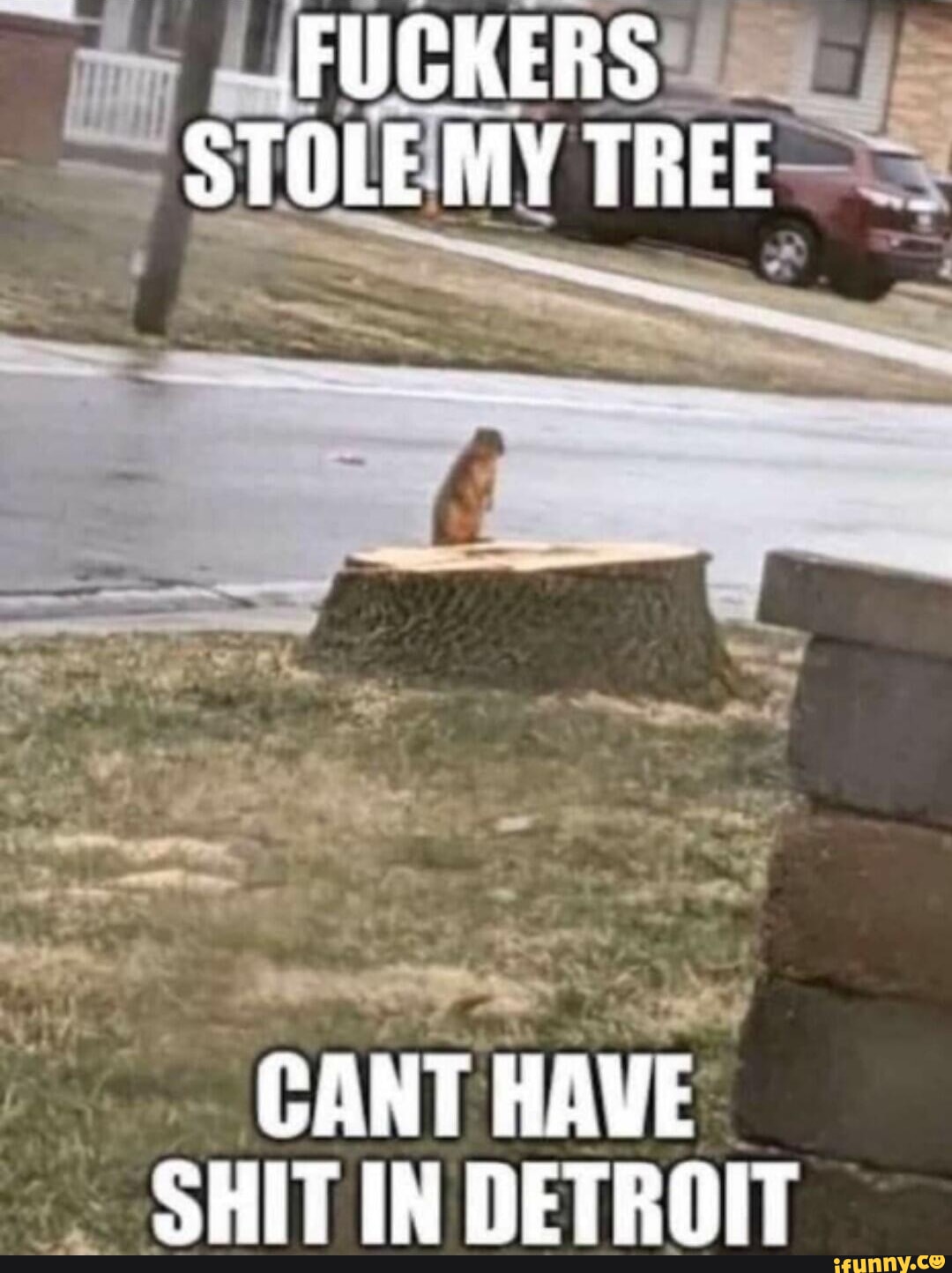 FUCKERS STOLE MY TREE CANT HAVE SHIT IN DETROIT - iFunny