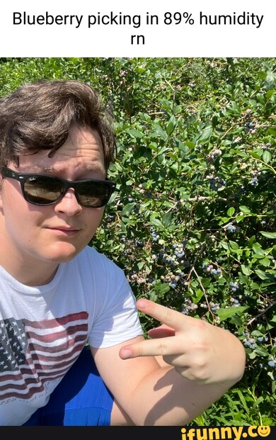 Blueberry picking in 89% humidity th - iFunny