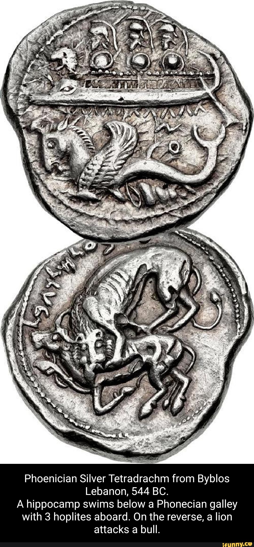 Hoplites memes. Best Collection of funny Hoplites pictures on iFunny