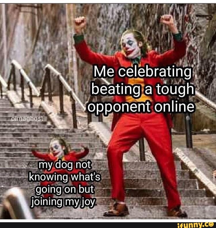 Me celebrating beating a tough... Sopponent online my dog not knowing ...