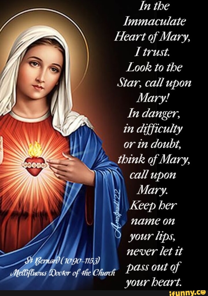 The Immaculate Heart of Mary, trust. Look to the Star, call upon Mary ...
