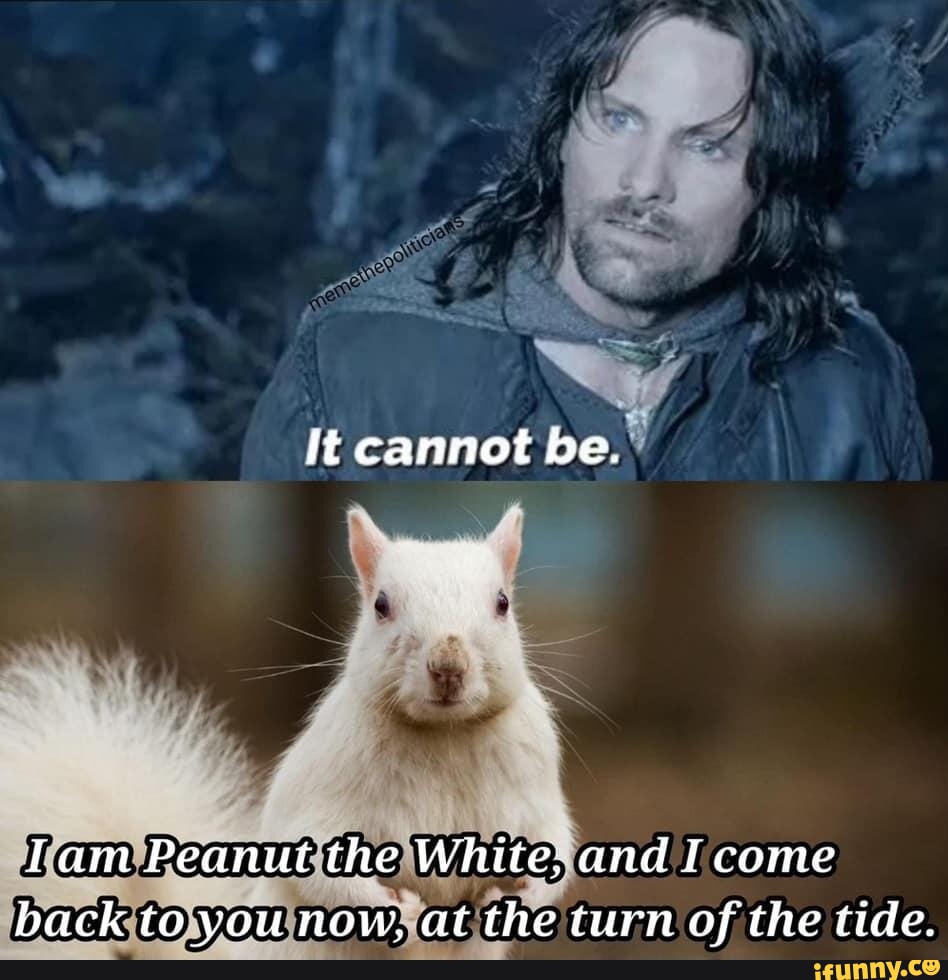 It cannot be. Tam Peanut the White; and I come back to you now, at the ...