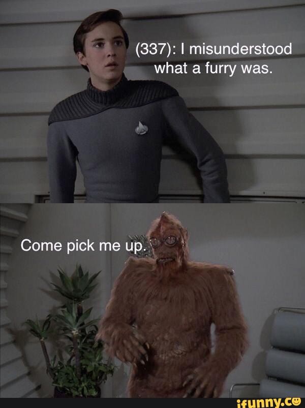 (337): I misunderstood what a furry was. Come pick me up. - iFunny