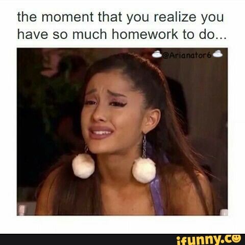 Too Much Homework Meme
