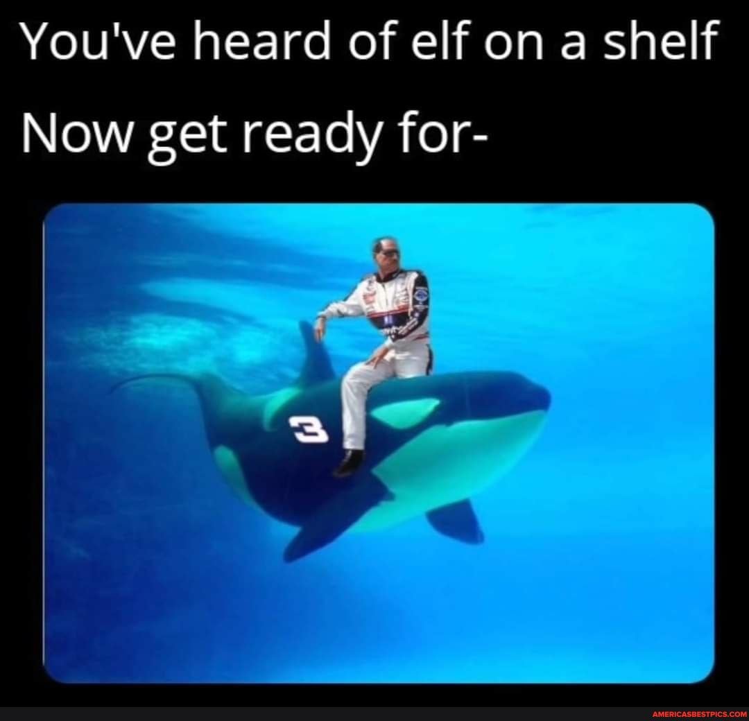 You've heard of elf on a shelf Now get ready for- - America’s best pics ...