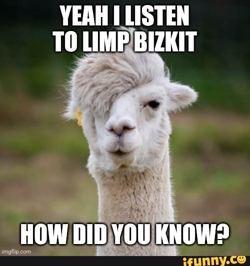 Loosers memes. Best Collection of funny Loosers pictures on iFunny