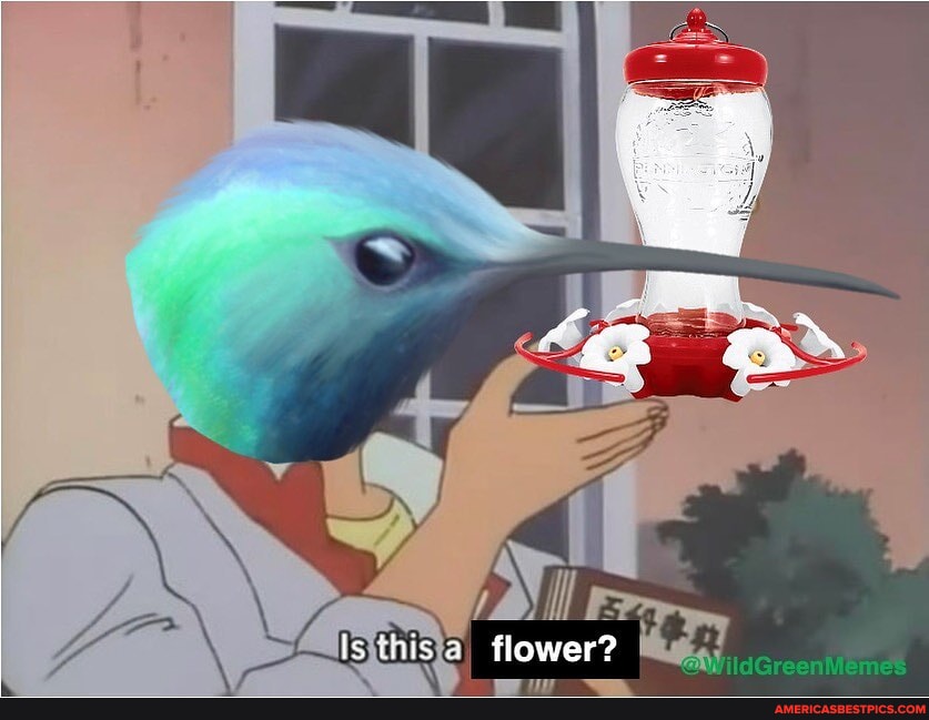 🌺 Meme by @beingevolved - Is this flower? - America’s best pics and videos